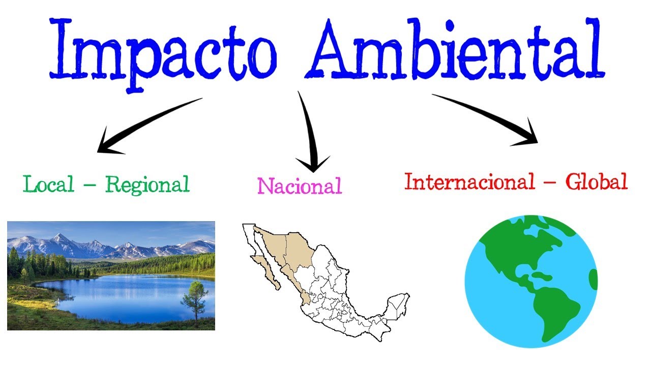 🌳 Impacto Ambiental y su Clasificación 🔥 [Fácil y Rápido] | BIOLOGÍA |