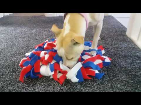 Meera loves her Snuffle Mat