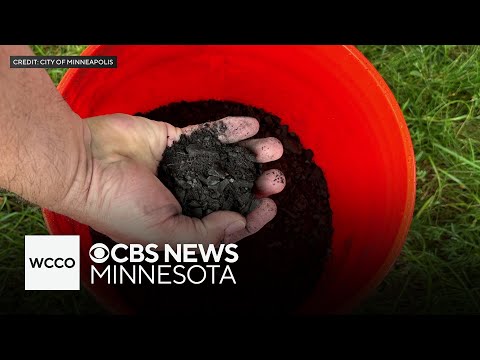 What is biochar?