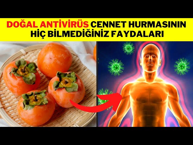 Cennet Hurmasının Faydaları: Neye İyi Gelir, Ne İşe Yarar? - Nefis ...