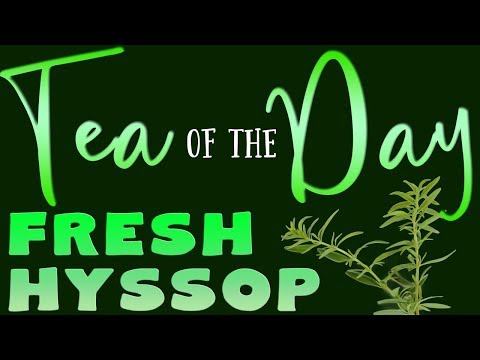 Tea of the Day #68 - FRESH HYSSOP