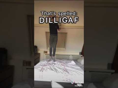 D.I.L.L.I.G.A.F. [ORIGINAL VIDEO]
