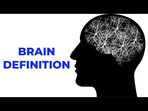 How to define brain?