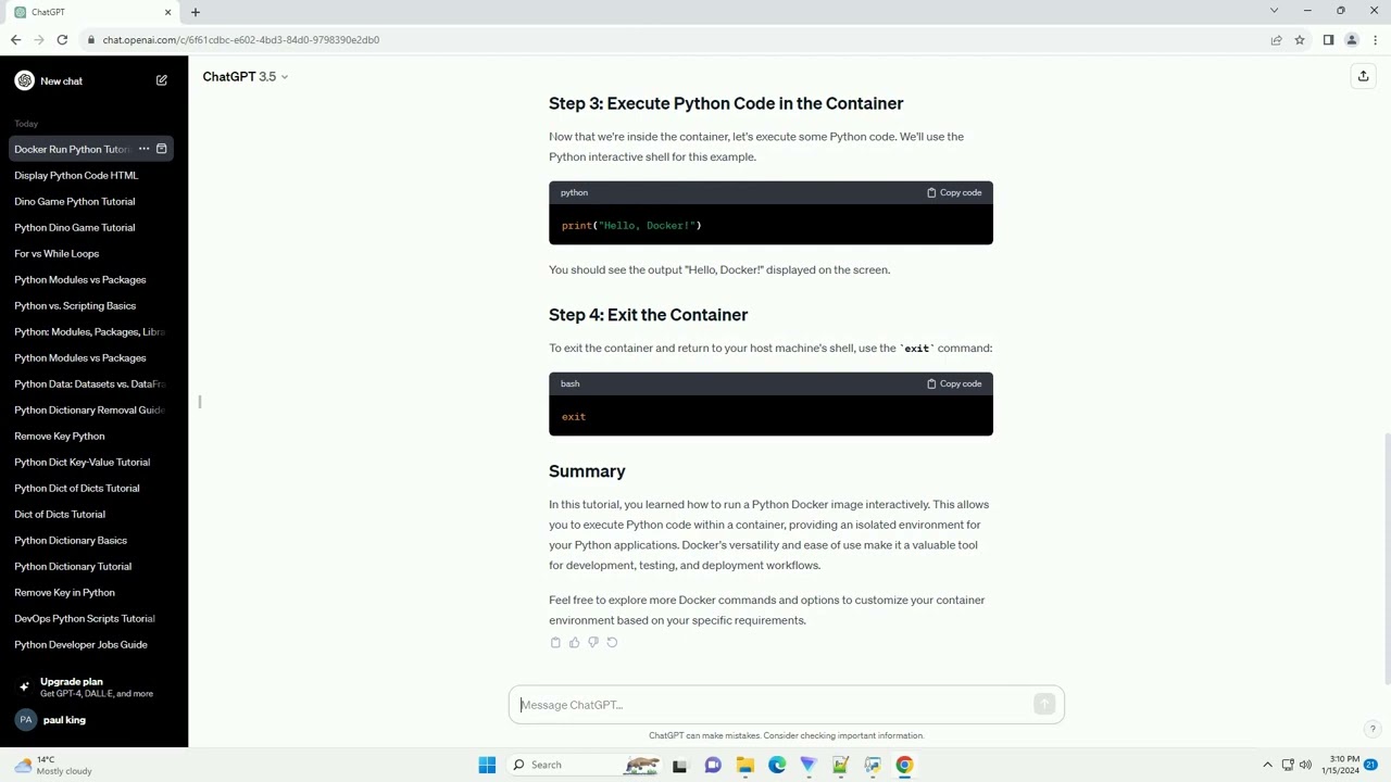 docker run python image interactive