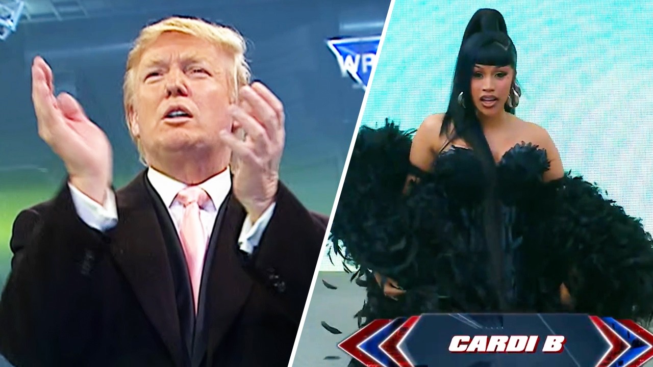 10 *CELEBRITY* Appearances in WWE