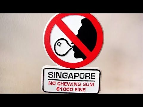 Top 8 Most Interesting Facts About SINGAPORE