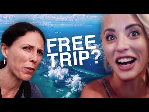 Puerto Rico 481 Form - Fill Out and Sign Printable PDF Template | SignNow