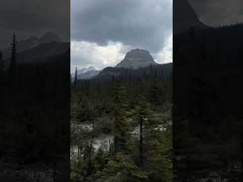 Takkakaw falls canada #viral #nature #shorts #shortsfeed #canada #fyp