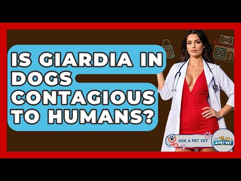 Is Giardia In Dogs Contagious To Humans? - Ask A Pet Vet