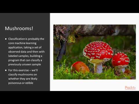 Learn PyTorch Deep Learning in 7 Days Loading Structured Data for Classification | packtpub com ...