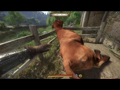 Steam Community :: Video :: Punch Animals - Get Fast Strong !!!! Realy