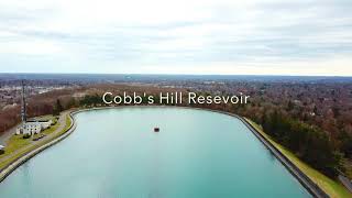 3 Best Public Parks in Rochester, NY - Expert Recommendations