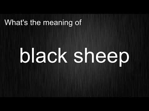 What's the meaning of "black sheep", How to pronounce black sheep?