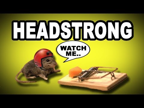✊ Learn English Words: HEADSTRONG - Meaning, Vocabulary with Pictures and Examples