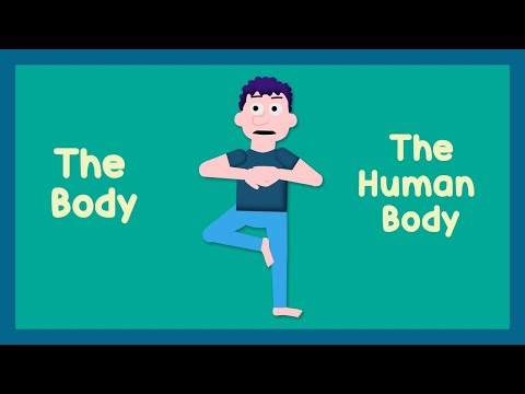 The Body, The Human Body – Body Parts Song – English Learning Songs
