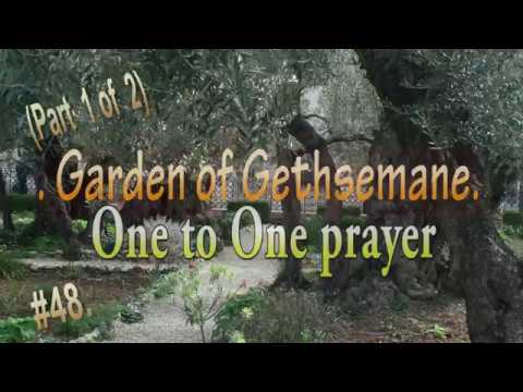 #48. Garden of Gethsemane. (Part 1 of 2). One to One prayer.
