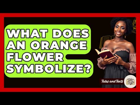 What Does An Orange Flower Symbolize? - Tales And Texts