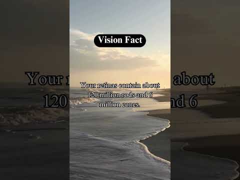 Your Eyes Have More Pixels Than a 1080p TV! #shorts #eyes #vision #science #retina #pixel
