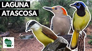 10 Things to Do in Nata River Bird Sanctuary (Santuario de Aves del Río ...