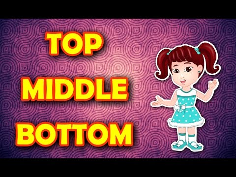 Top-Bottom- Explanation (English) Video Lecture - Class 1