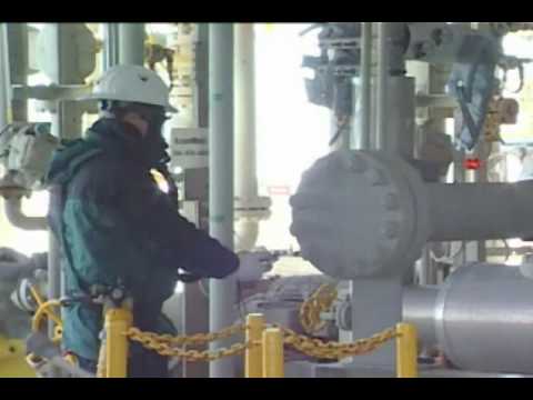 H2s Alive Ticket | Aminaa Alex