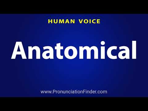 How To Pronounce Anatomical