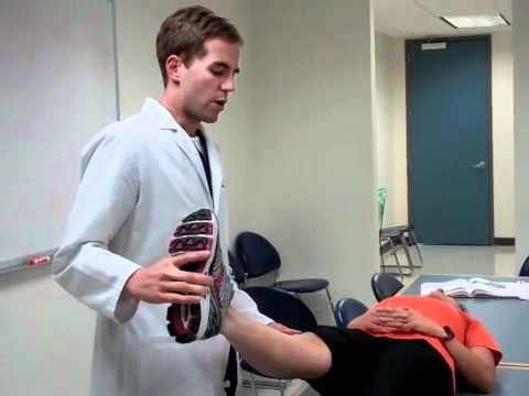 The Complete Knee Exam Part I