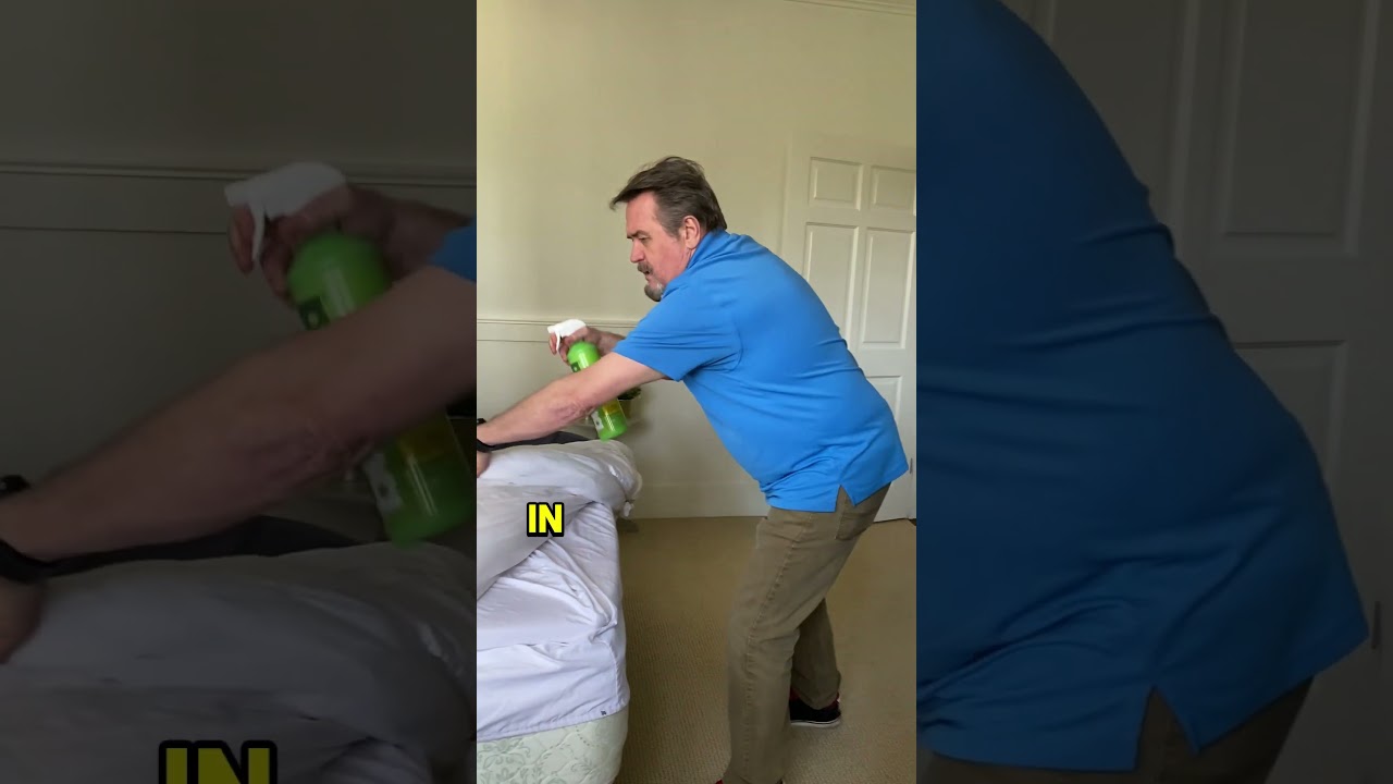 BugMD Bed Bugs