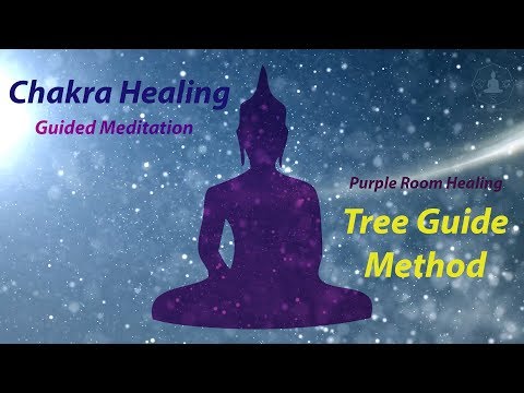 Chakra Healing – Guided Meditation || Tree Guide Method – Purple Room ...