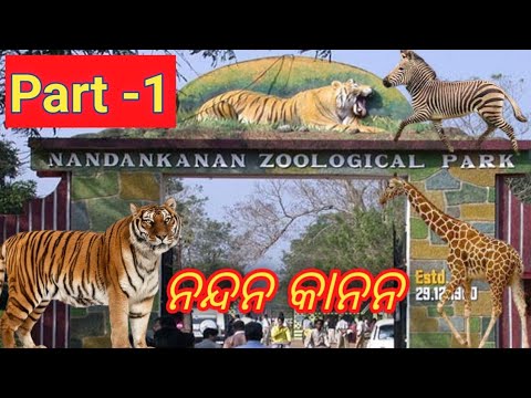 Nandankanan/Zoological Park/#nandankanan.