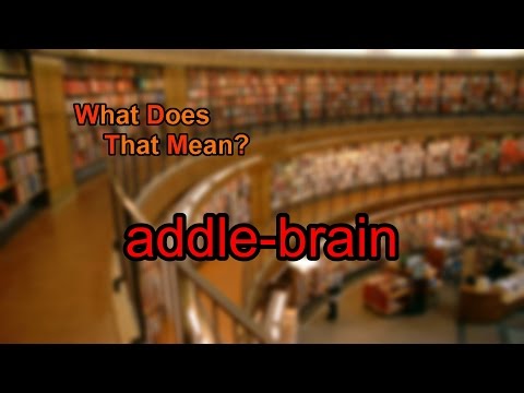 What does addle-brain mean?