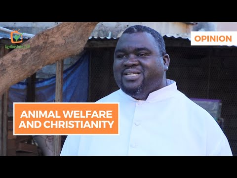 Opinion: Animal welfare and Christianity