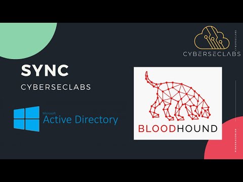 CyberSecLabs - Sync - Active Directory [Walkthrough]
