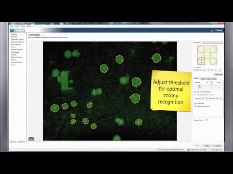 Image low contrast samples with Qpix 400 automated colony picker