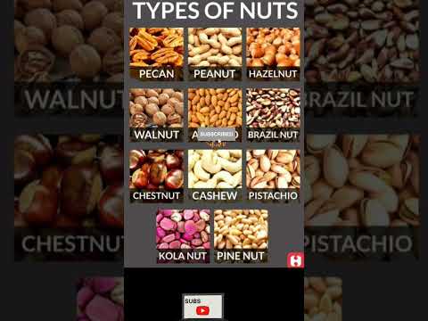 Types of Nuts#vocabulary
