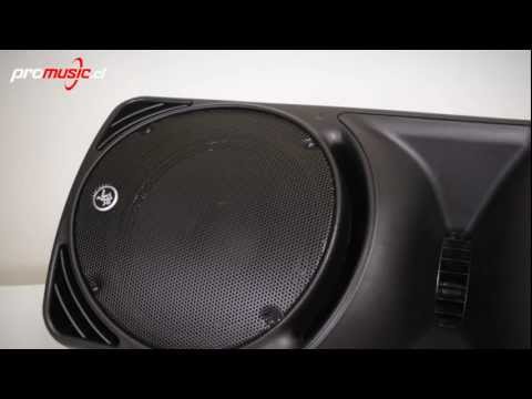 Mackie - SRM450V2