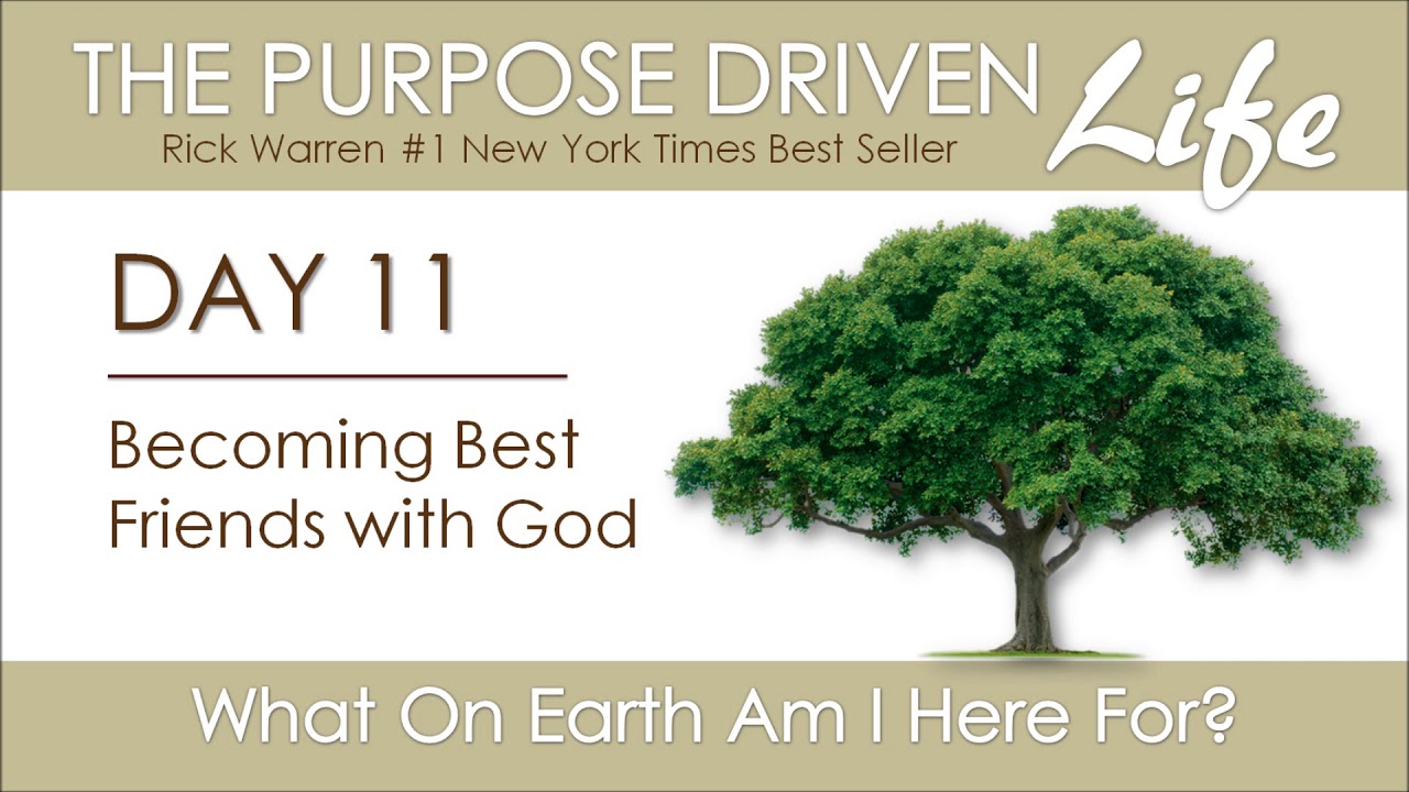 Purpose Driven Life | Day 11