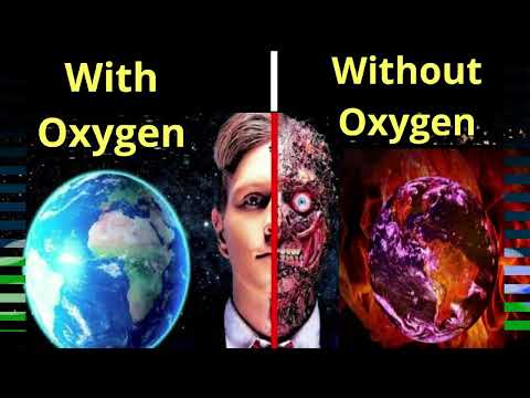 Grade 10-Introduction to History of Life on Earth & Increase in Oxygen Levels