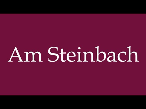 How to Pronounce ''Am Steinbach'' Correctly in German