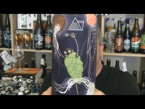Wander Beyond - Bloom (Chocolate Strawberry Ice Cream Imperial Black IPA) - HopZine Beer Review