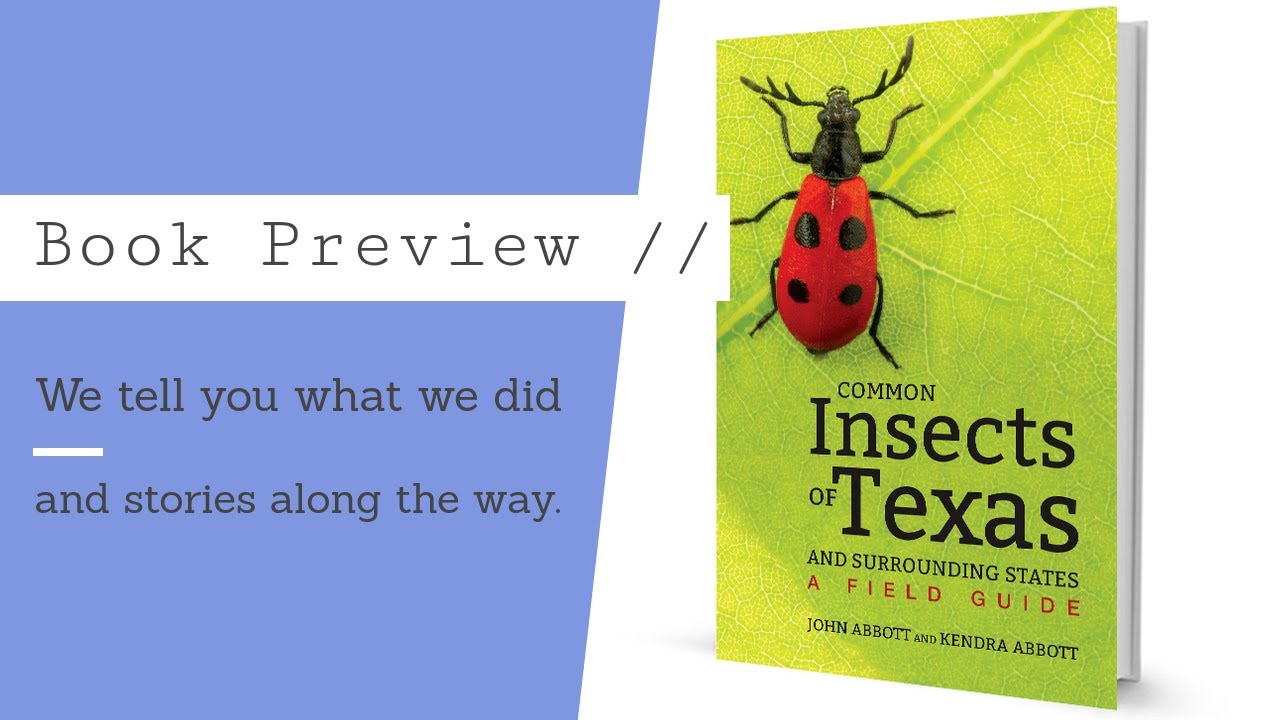 Common Insects of Texas Book PREVIEW!!