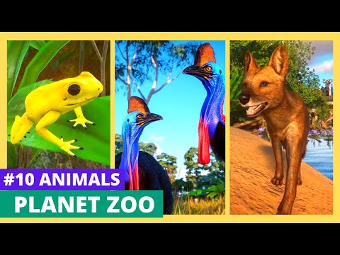 Super Planet Zoo! #10 Names And Sounds Wild Animals 22