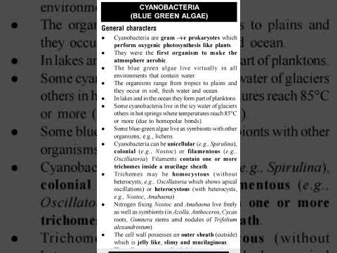 #cyanobacteria#blue green algae #neet #biology