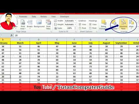 Excel Computer Basic Course || How to use Selection Pane in Microsoft Excel | Learn Excel