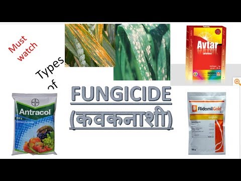 Fungicides at Best Price in India