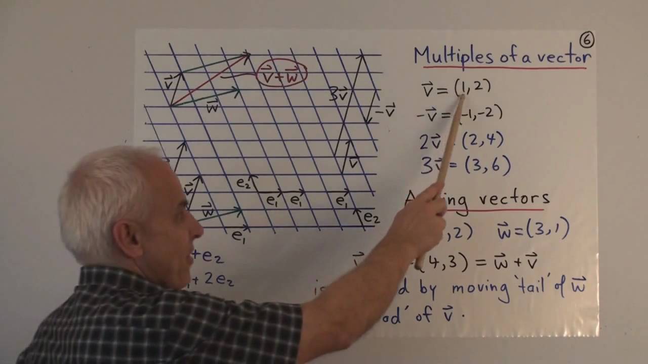 WildLinAlg1: Introduction to Linear Algebra