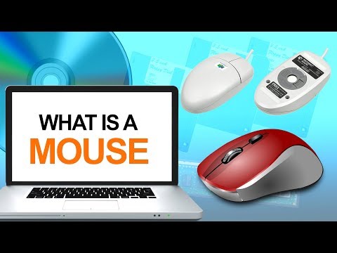 What is a Computer Mouse | Definition & Types of Mouse | How to Use Mouse | Computer Hardware