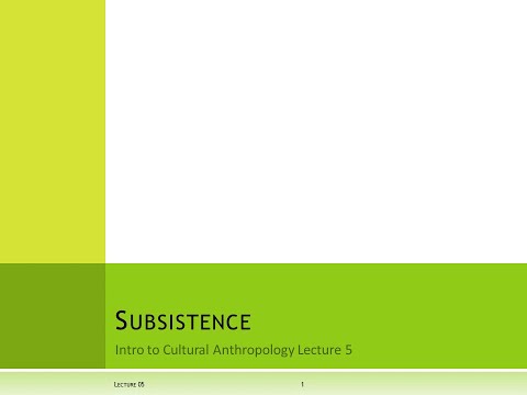 Lecture 05 Subsistence