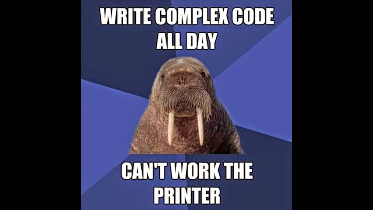 Programmer's lifecycle: why did we love Programming