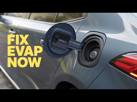 FIX Evap Problems on Your 2009-2013 Toyota Corolla NOW
